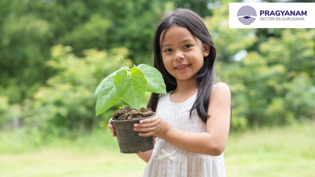 What is the Importance of Plants? Reasons Why We Need Them