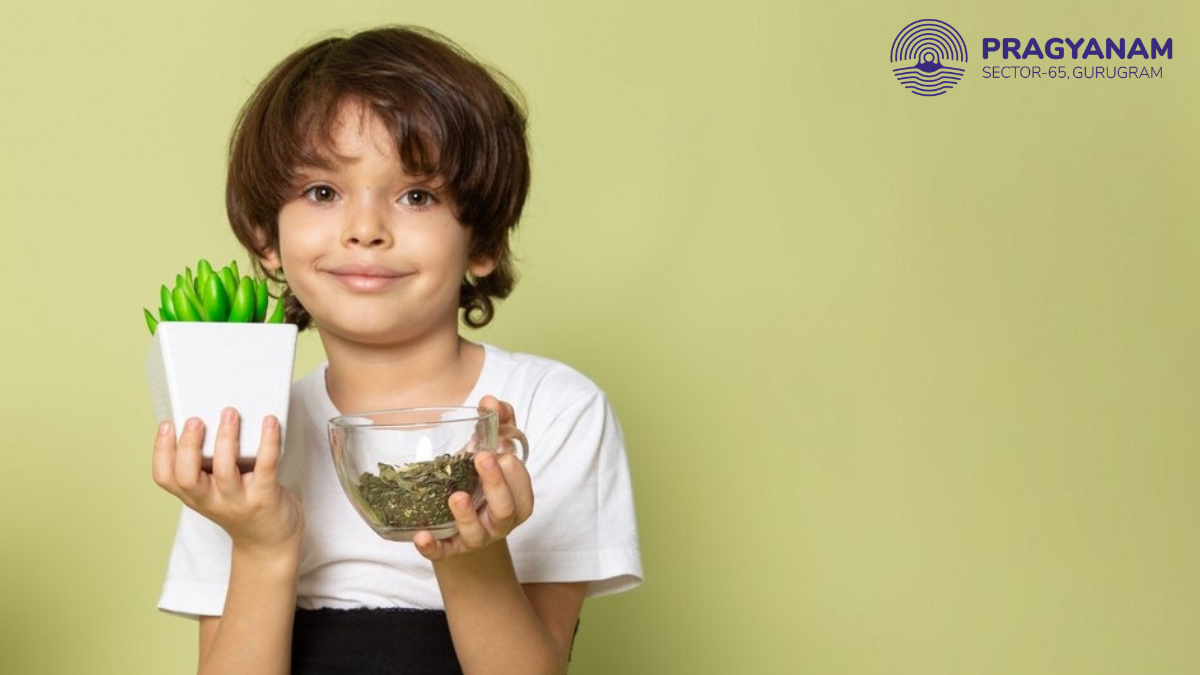 What is the Importance of Plants? Reasons Why We Need Them